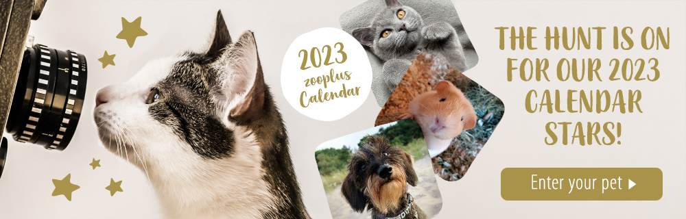 2023 Wall Calendar | zooplus UK