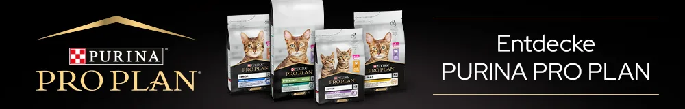 PURINA PRO PLAN Katzenfutter online kaufen | zooplus