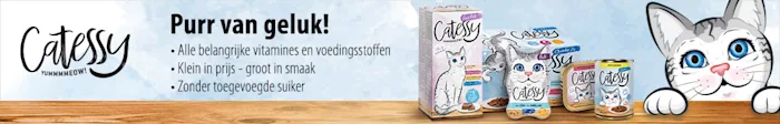 Catessy natvoer kopen? De beste prijs bij zooplus!