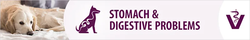 Stomach & Digestion Dog Food | Buy Now for Less at zooplus