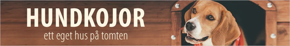 Handla Alla hundkojor & hundhus online | zooplus.se