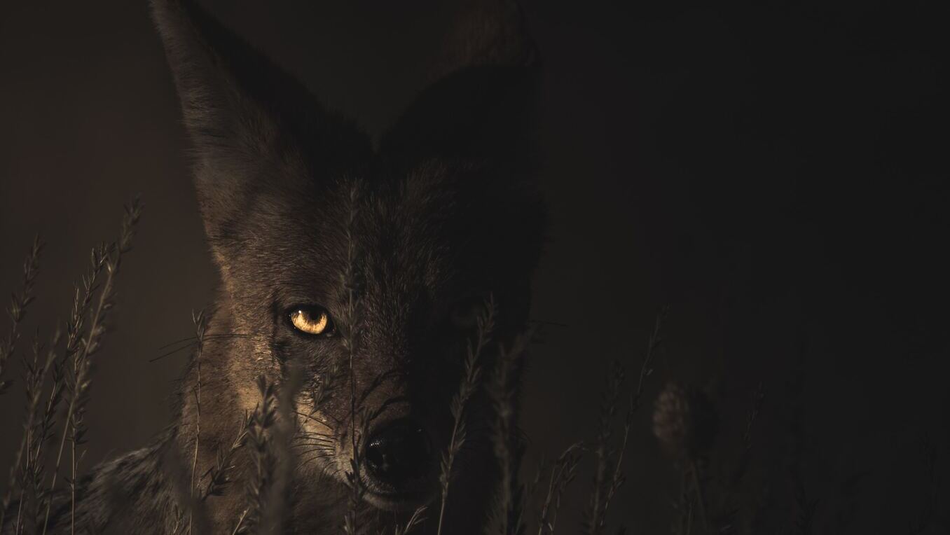 Bücher von Max Bentow in der richtigen Reihenfolge | Audible.de