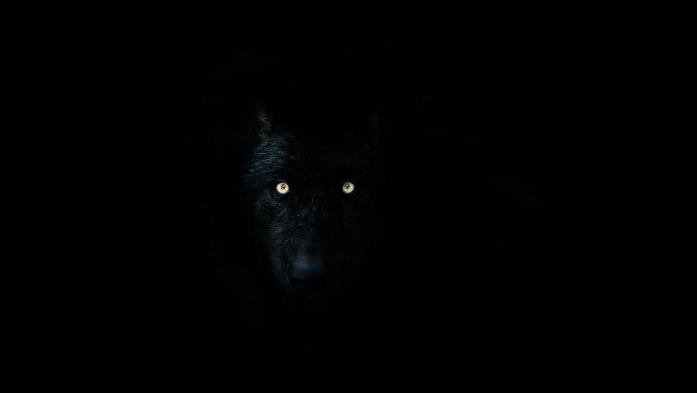 Bücher von Lars Kepler in der richtigen Reihenfolge | Audible.de