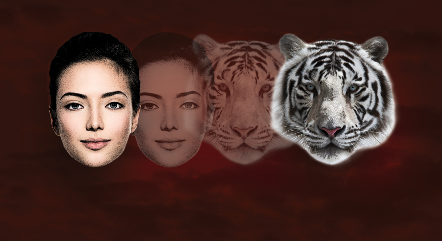 Animorphs Jake Tiger