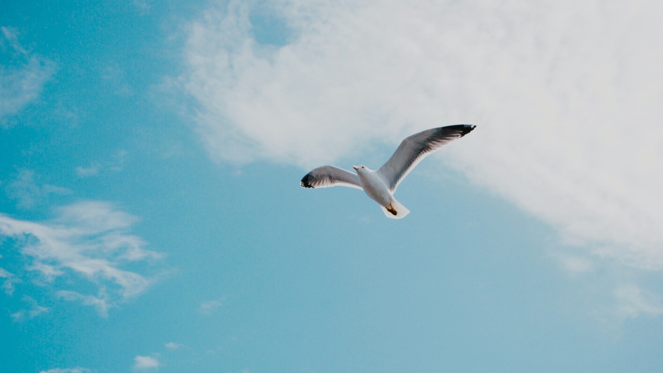 Bücher von Gisa Pauly in der richtigen Reihenfolge | Audible.de