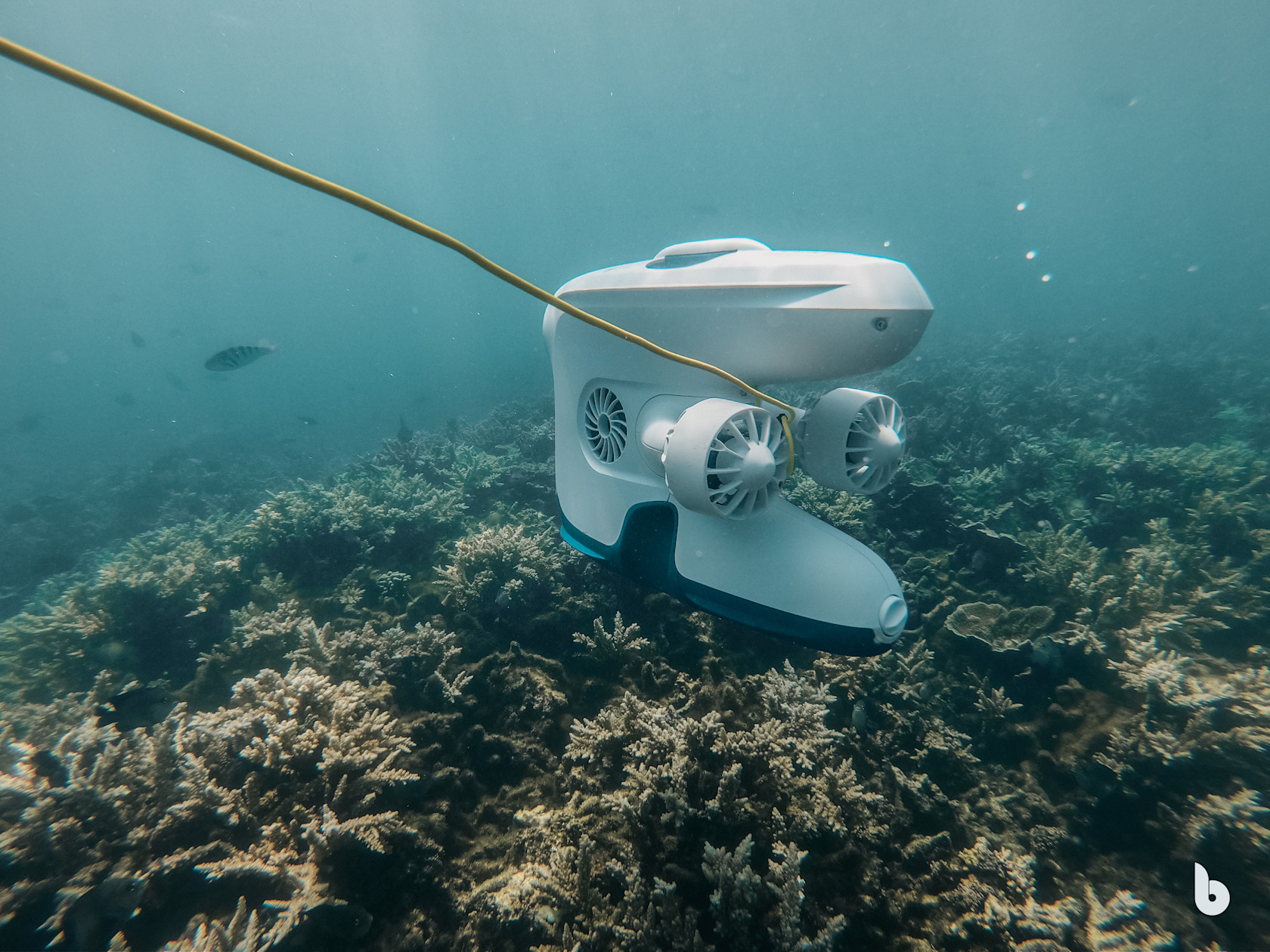 How the University in Tromsø is documenting intertidal species using ROVs
