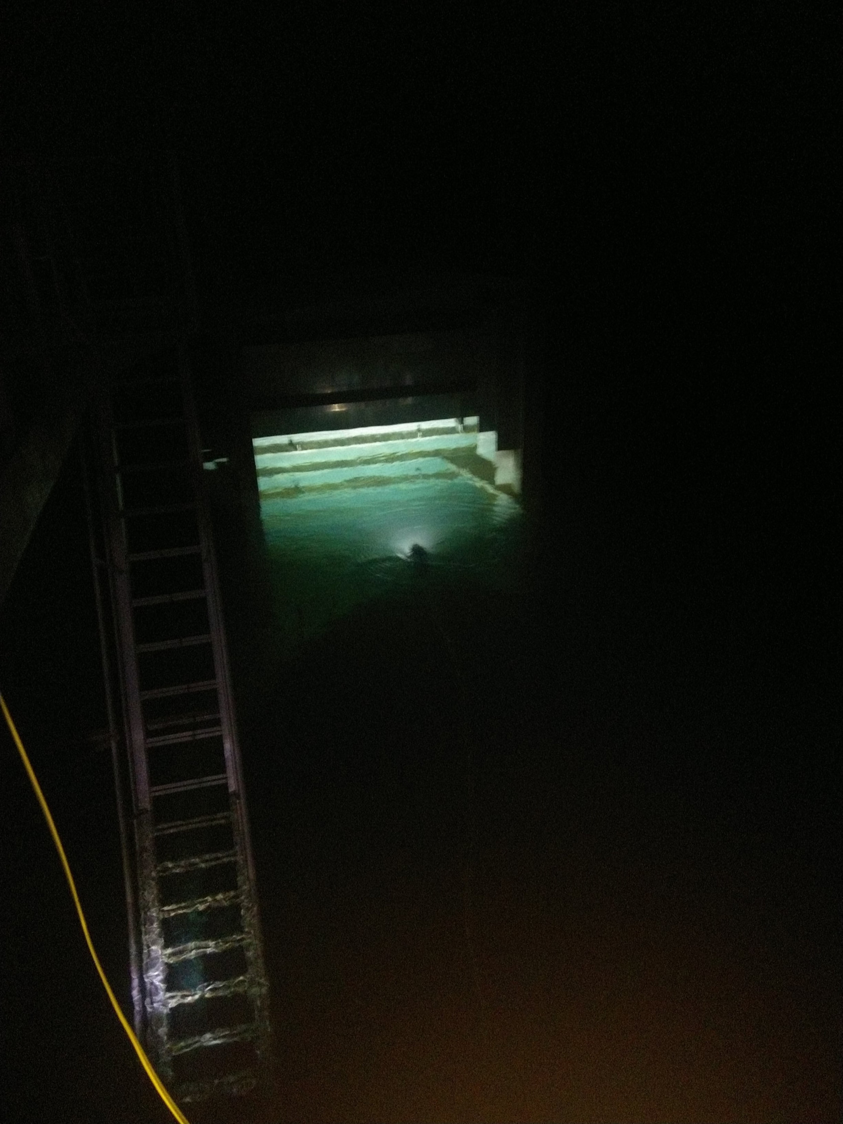 19 ballast tank inspections in two days