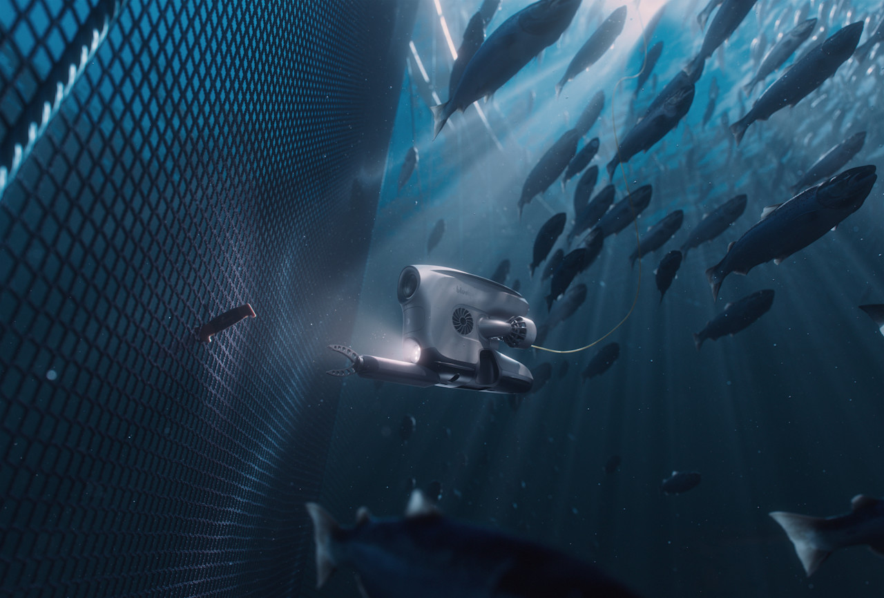 Mini ROV guide: small ROV for professional inspections | Blueye