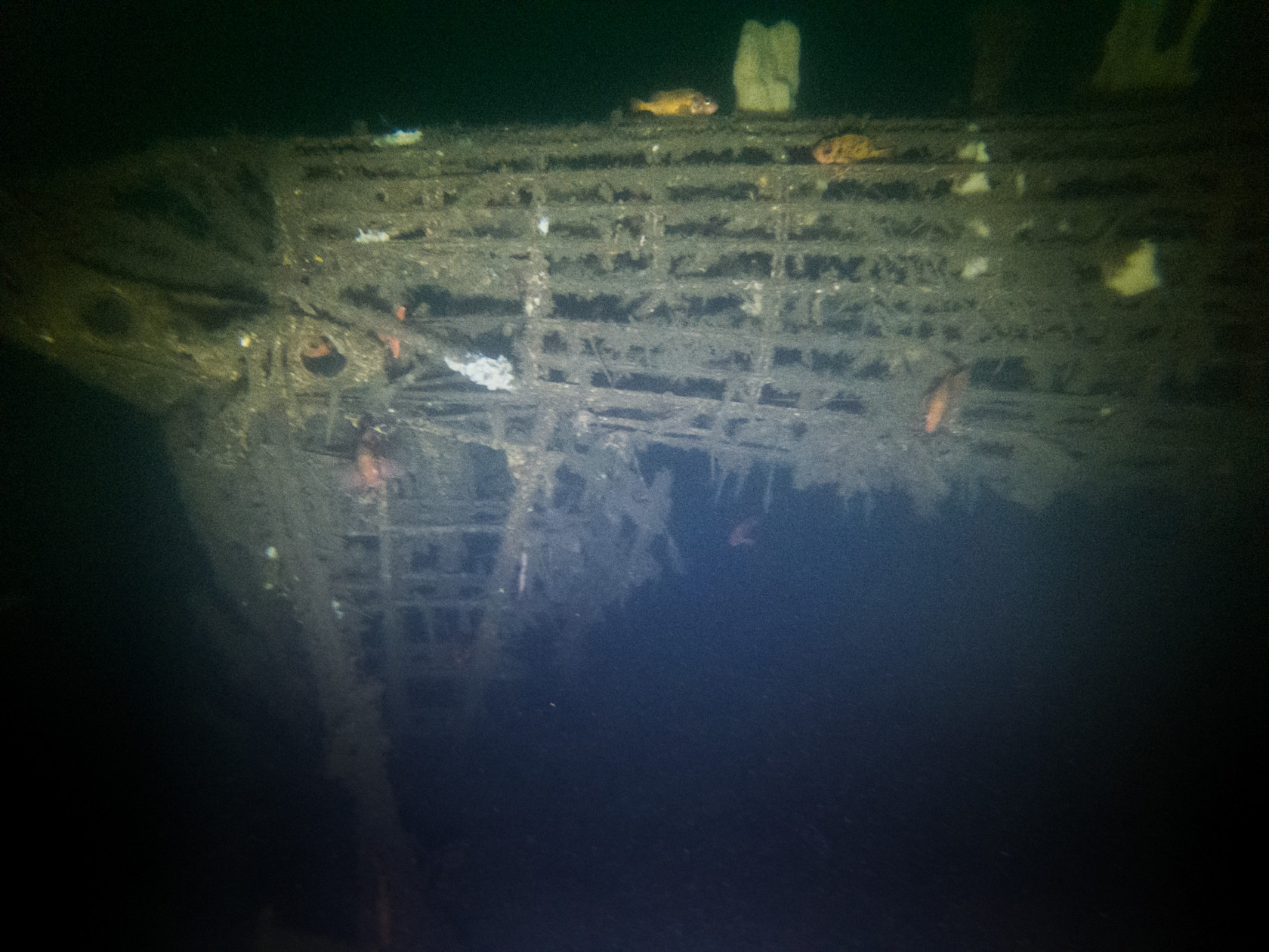 Documenting a newly discovered World War II aircraft with underwater drones