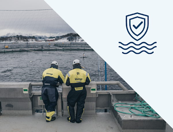 Underwater ROVs for ship hull inspections | Blueye Robotics