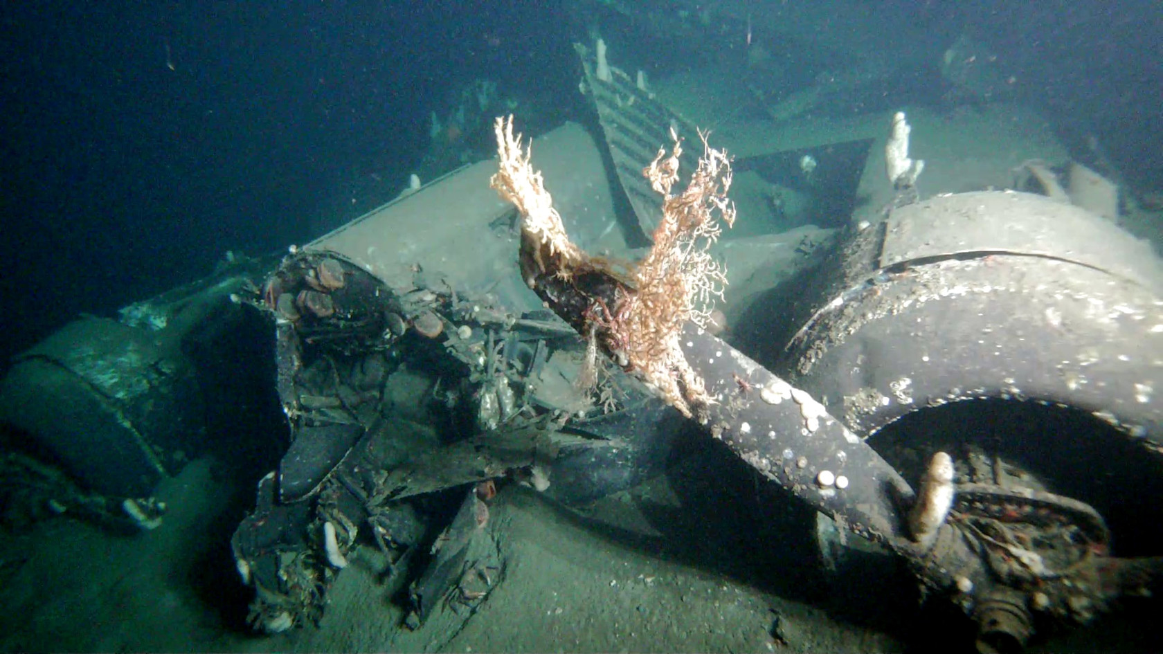 Oppdagelsen av to historiske flyvrak fra 2. verdenskrig i Trondheimsfjorden