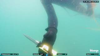 Introducing the Blueye X1