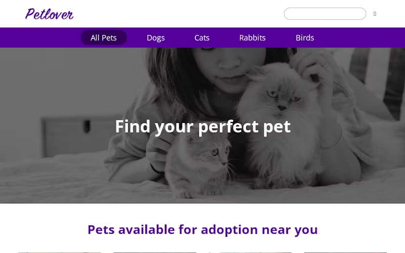 Nader Antar | Frontend Engineer