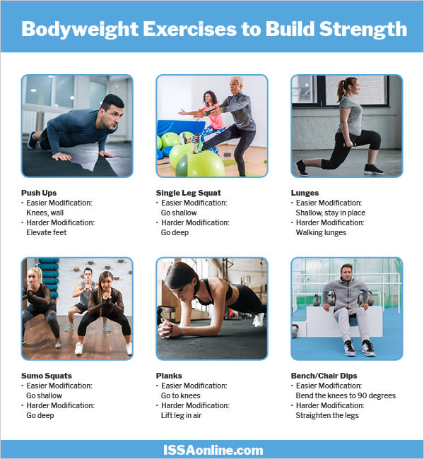 Strength Training for Fitness and Weight Loss | ISSA