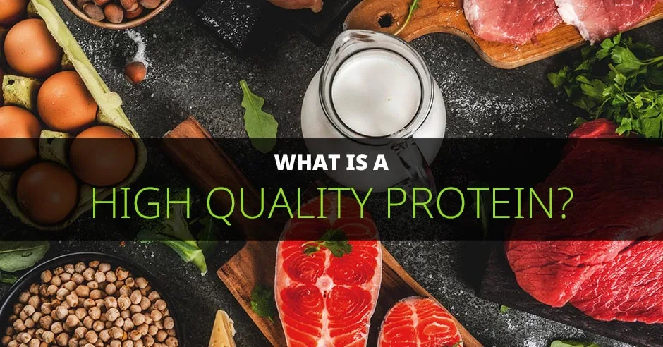What Is a High-Quality Protein? | ISSA