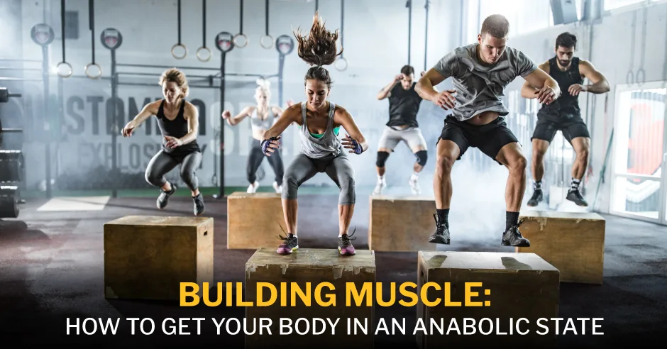 Building Muscle: How to Get Your Body in an Anabolic State | ISSA