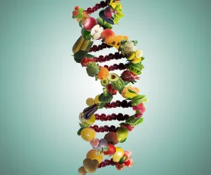 DNA-Based Fitness Coach | ISSA