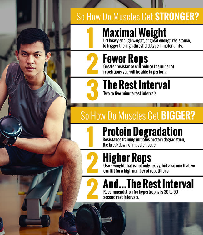 Bigger Muscles or Stronger Muscles? | ISSA