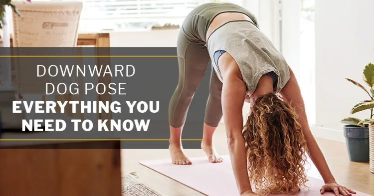 Redirecting to ISSA Fitness Certification Page