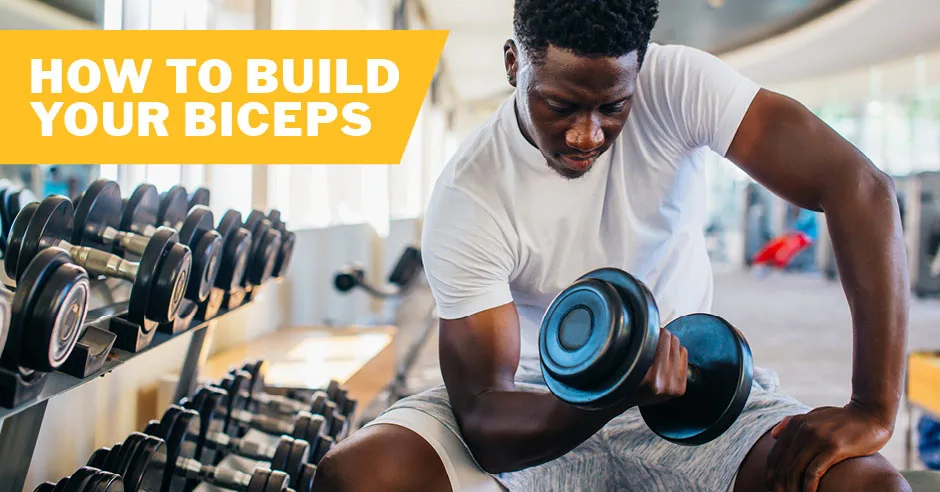 Your Best Guide to Building Biceps | ISSA