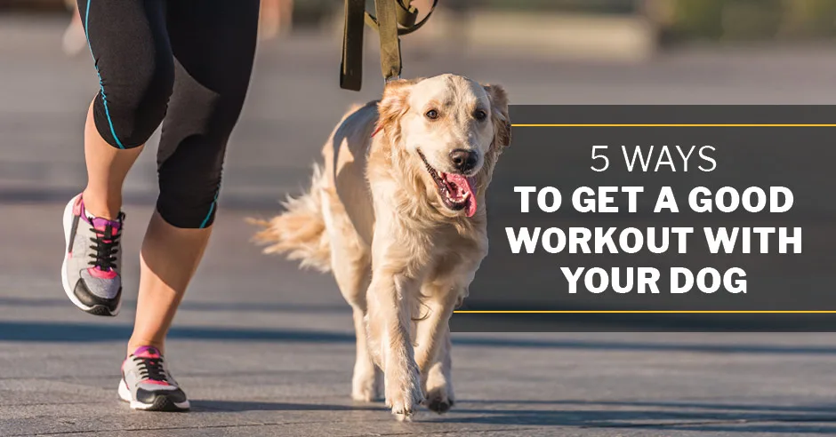 5 Ways to Get a Good Workout with Your Dog | ISSA