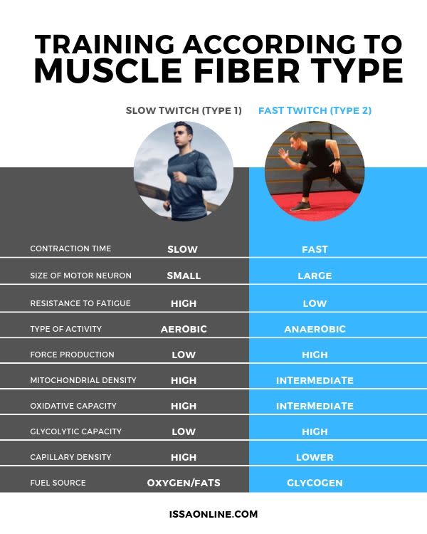 Training According to Muscle Fiber Type | ISSA