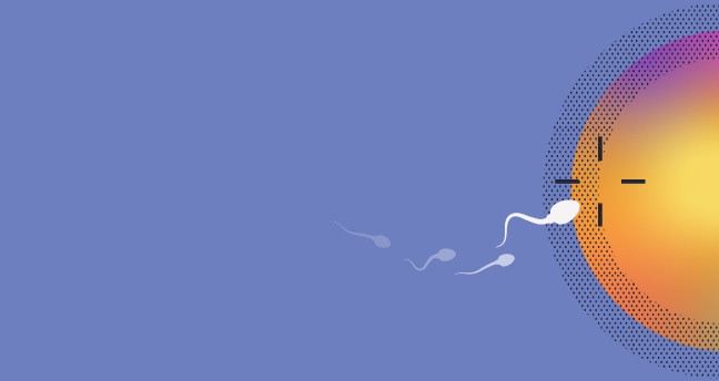 Embryo Transfer Success Rates Embryo Transfer Success Rates