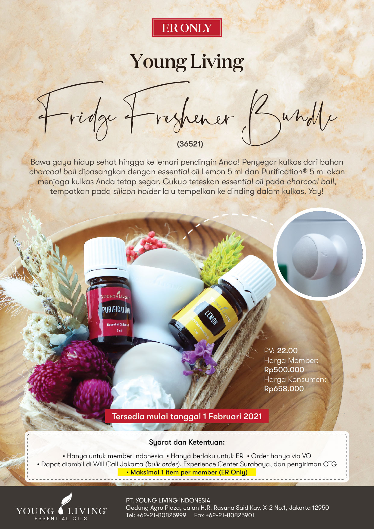Young Living Indonesia Promotions | Young Living Essential Oils