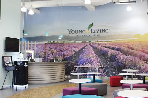 Young Living International Contact | Young Living | Young Living ...