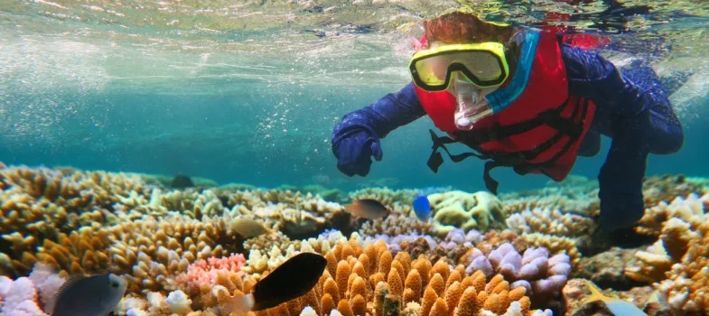 Biomedical Science | Biological Science Courses