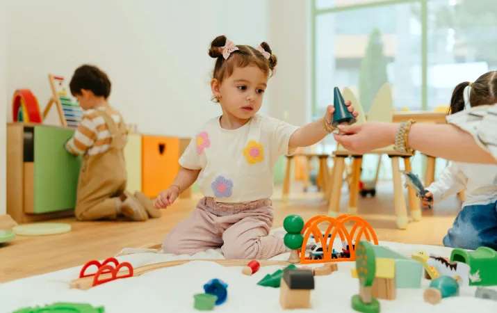 How Early Childhood Education Placements Work