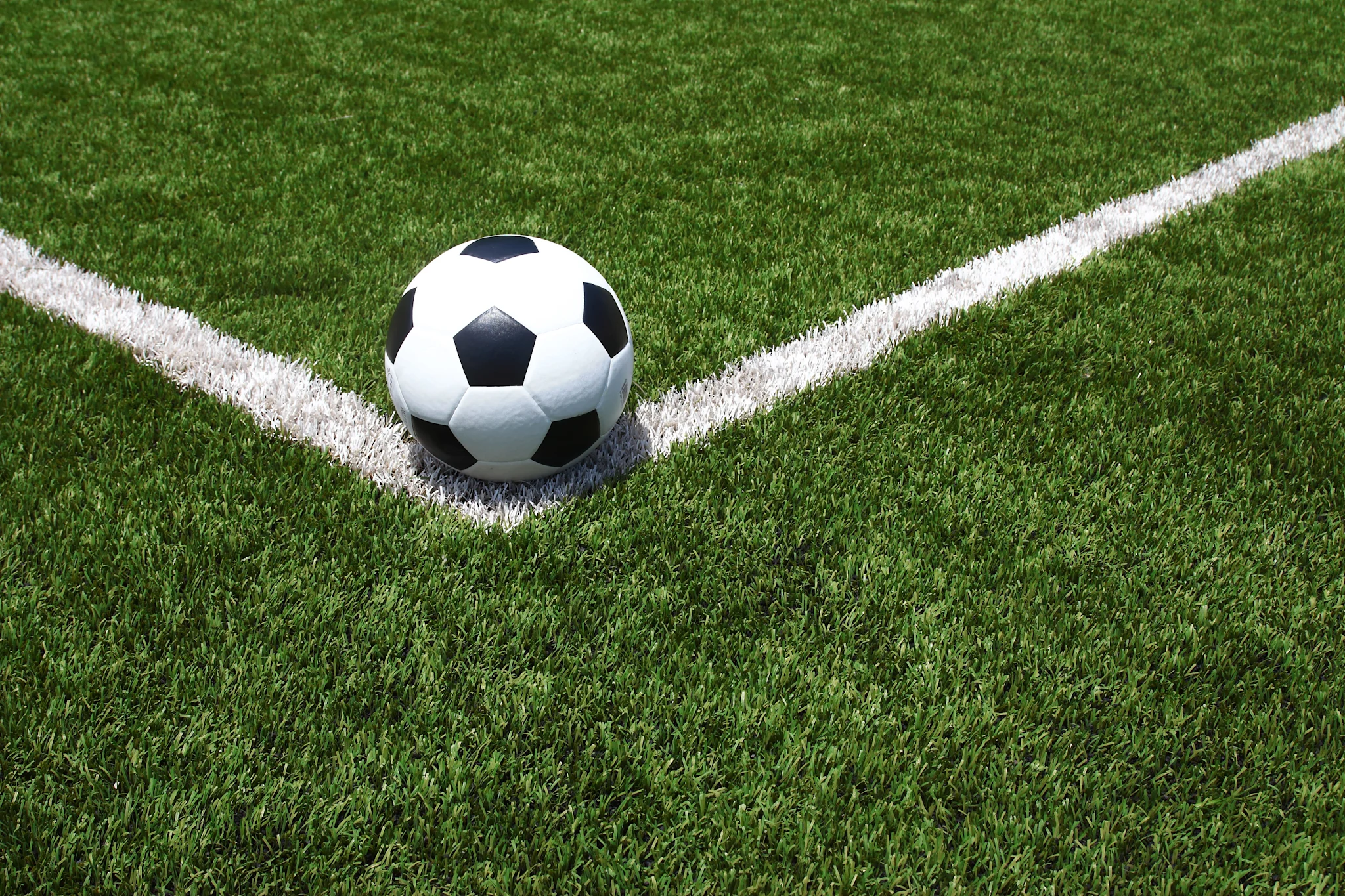 Sports courses & degrees