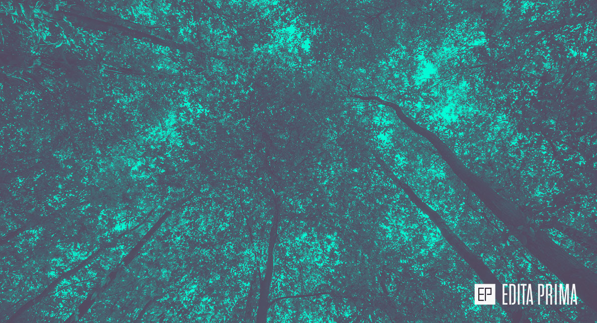 Edita Priman Ympäristöraportti 2023 | Edita Prima