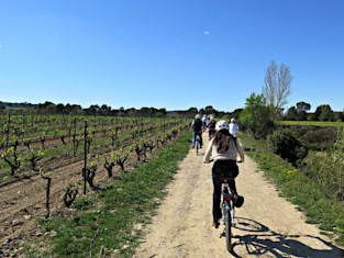 Cycling Through Vineyards In Barcelona | Pissup Stag Dos