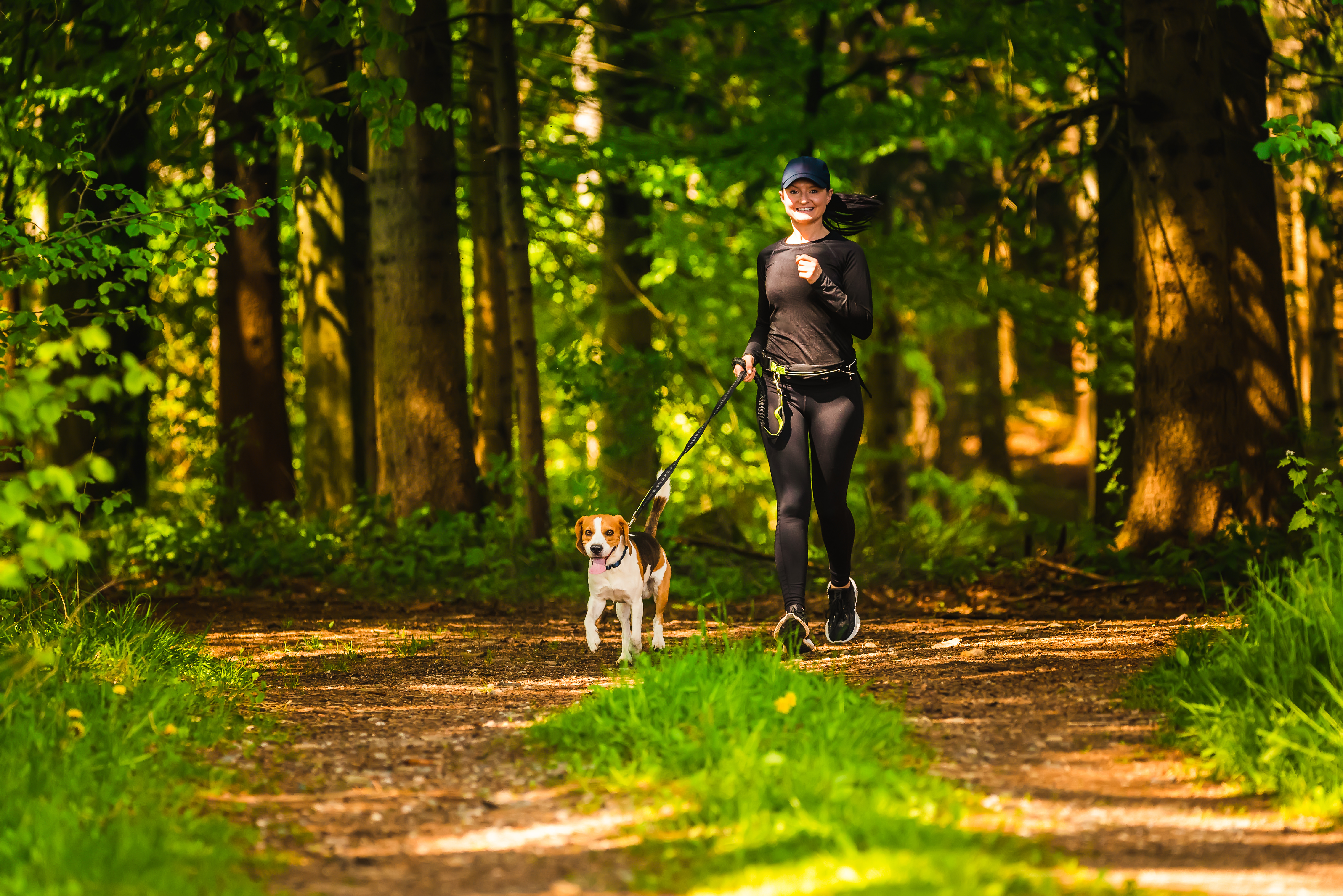 How to start running training with your dog - Lassie