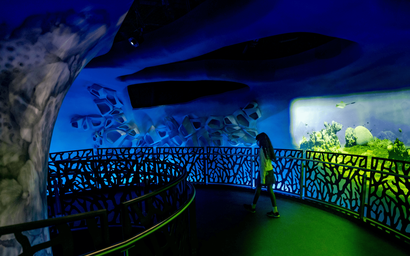 Where the whole city is a classroom - Expo City Dubai