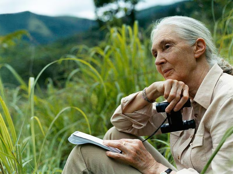 Empowering voices at Expo City Dubai: Hear Dr Jane Goodall’s insights ...