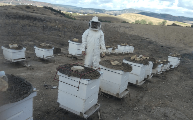 Green Tracker | Automating MRV Process | Expo City Dubai