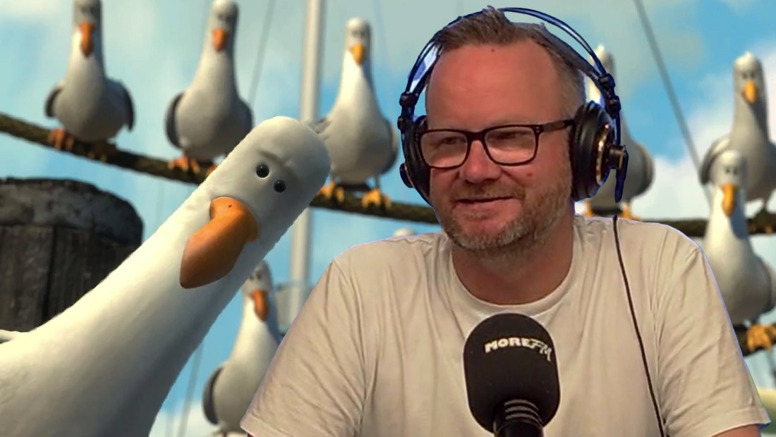 Flynny is a filthy seagull | Articles | rova