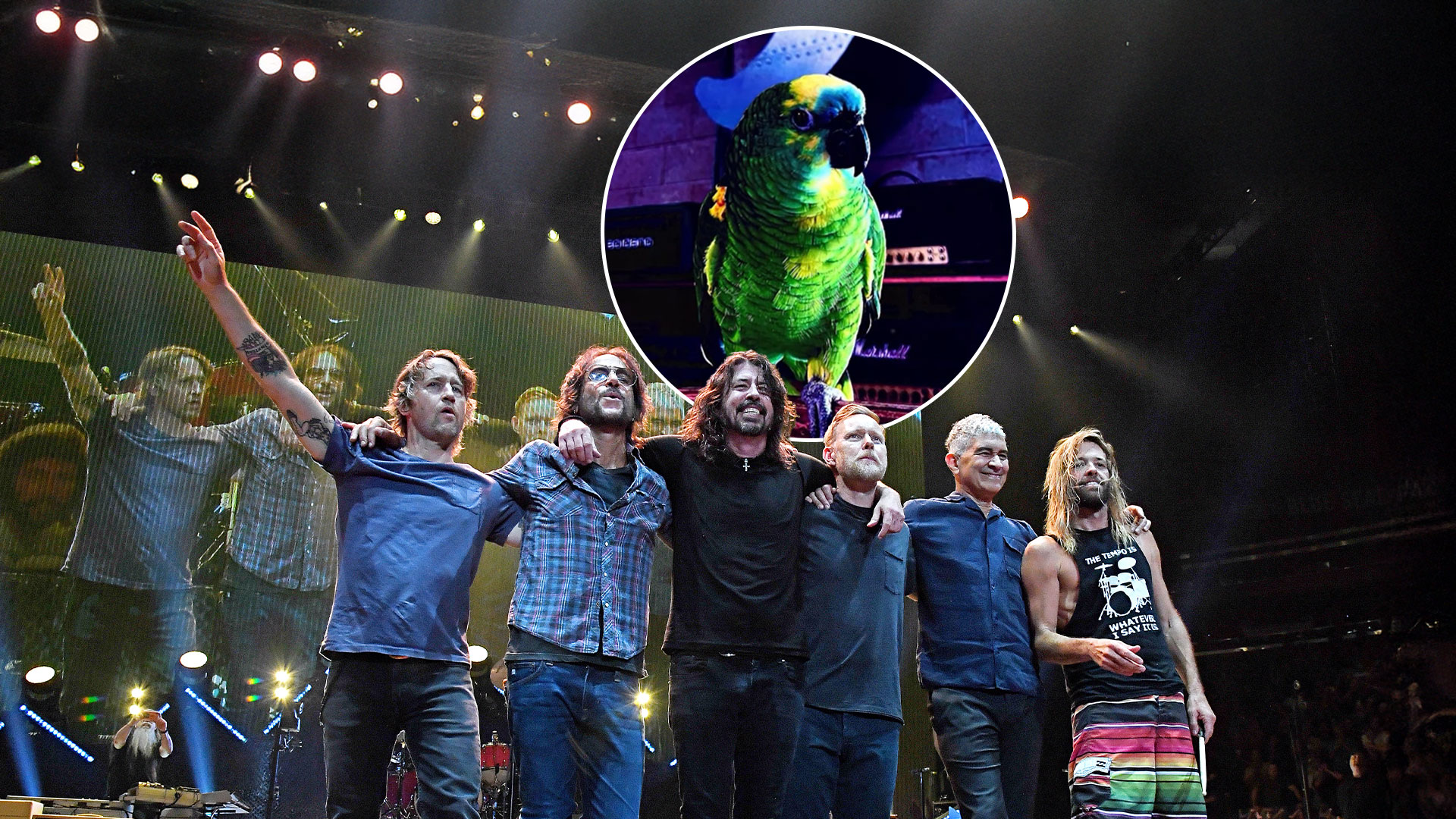 Fish Girl joins TikTok to expose 'terrible' YouTube production team ...