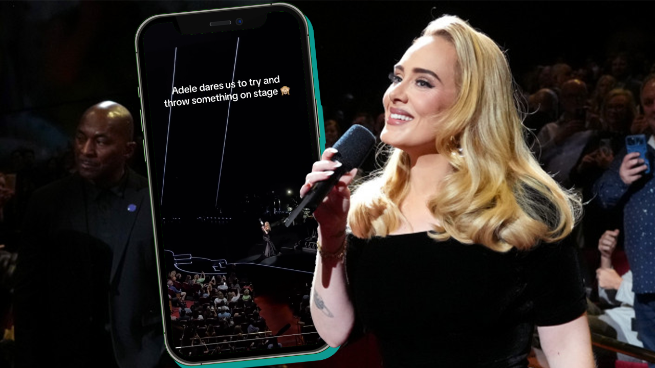 Adele begs fans to stop throwing things on stage at artists | Articles | rova
