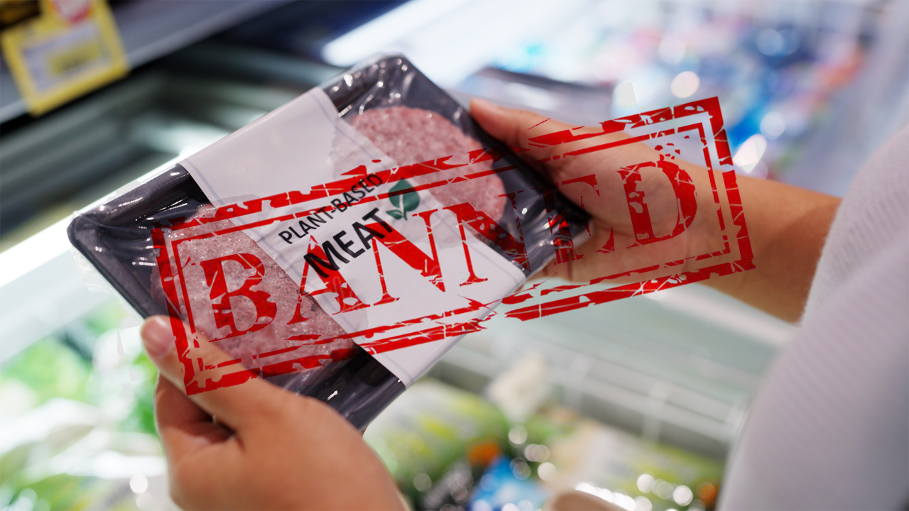 Soapbox Episode 10: Should New Zealand ban lab-grown meat? | Articles ...