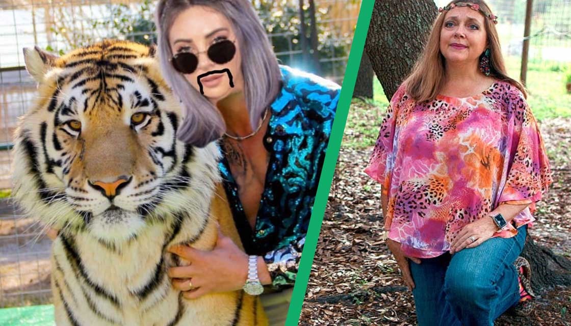 Alison Wonderland just dropped a track about Carole Baskin 🐯 | Articles ...