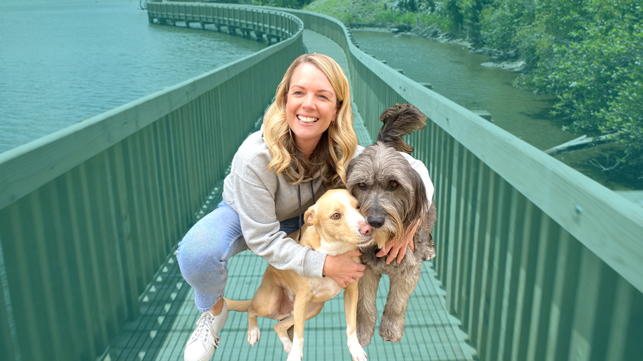 Jeanette's Top 10 Dog Walks around Auckland | Articles | rova