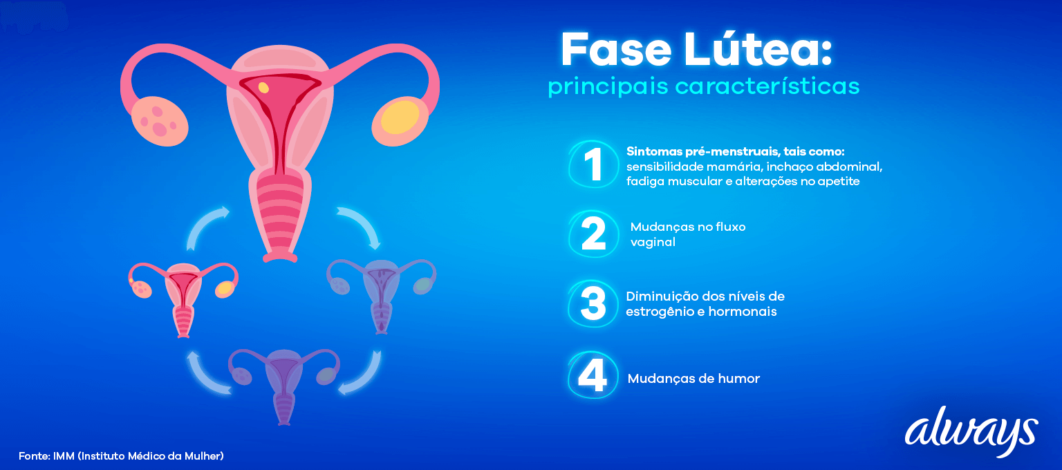Ciclo De Ovulacao Muco Cervical Muco Fértil