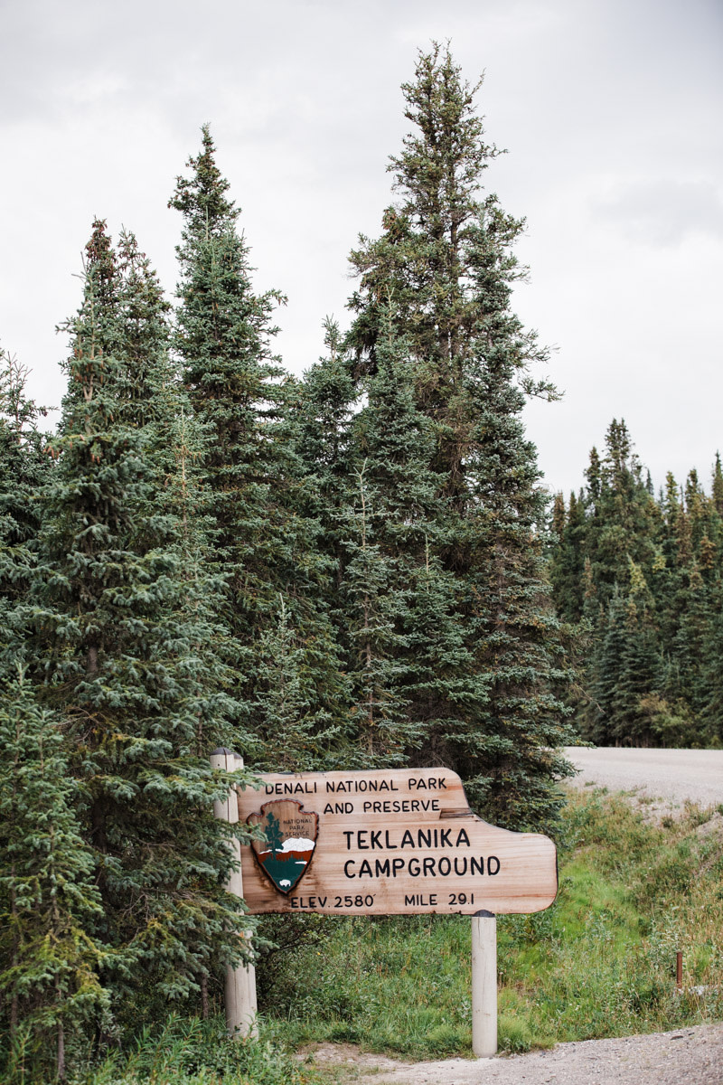 Denali National Park Camping Guide: Where to Stay & How to Book | Field Mag