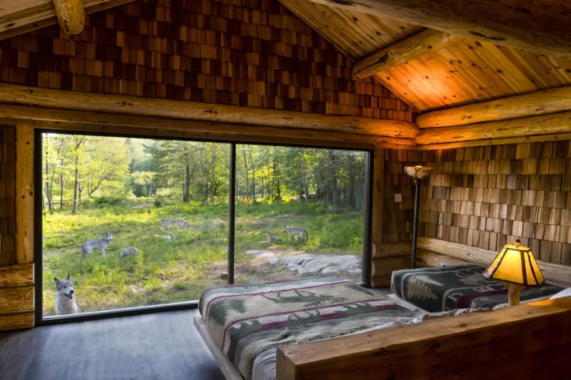 10 Best Cabins & Cottage Rentals in Quebec for Nature Lovers | Field Mag