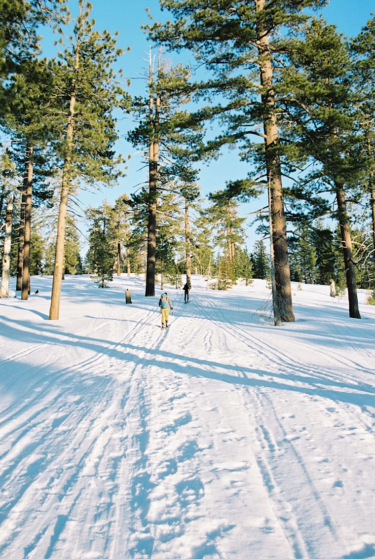 How to Visit Yosemite National Park's Ostrander Lake Hut | Field Mag