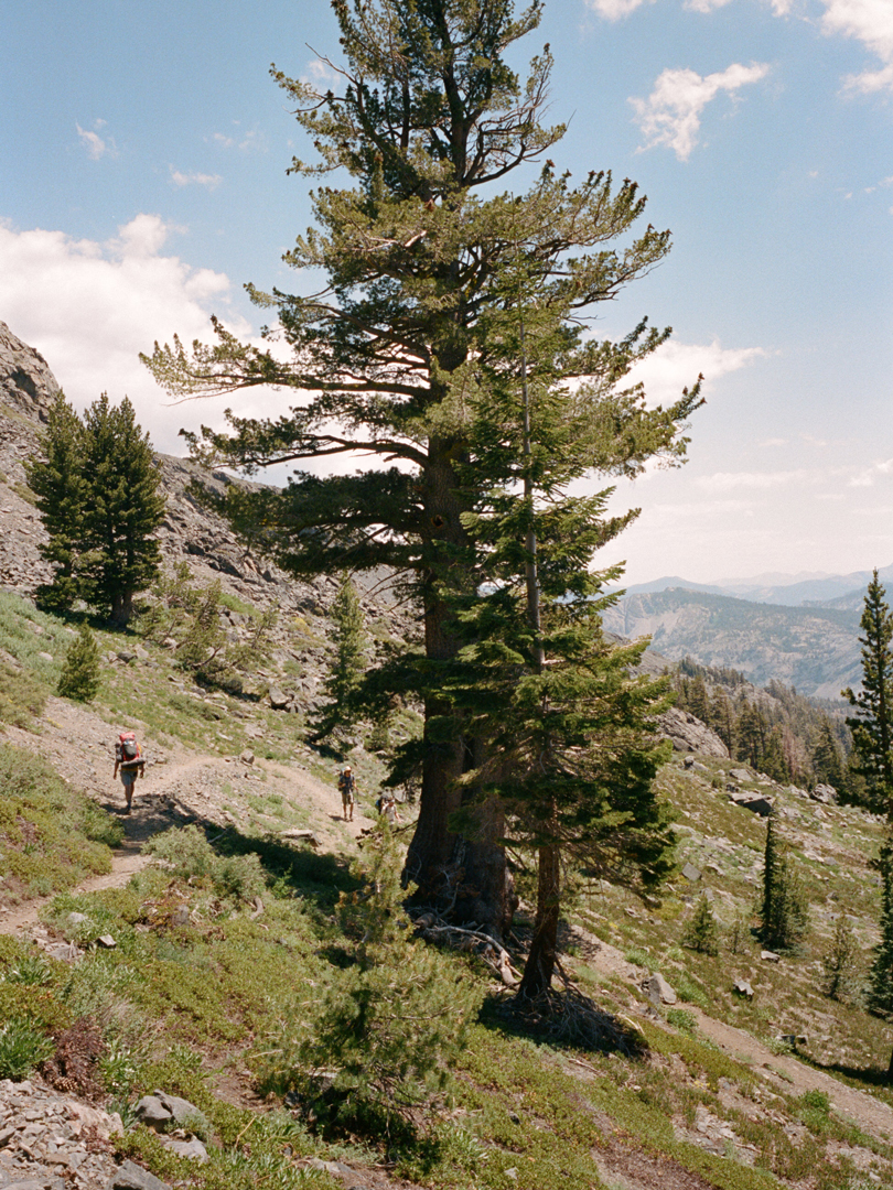 California's Desolation Wilderness Area Caught on Film | Field Mag