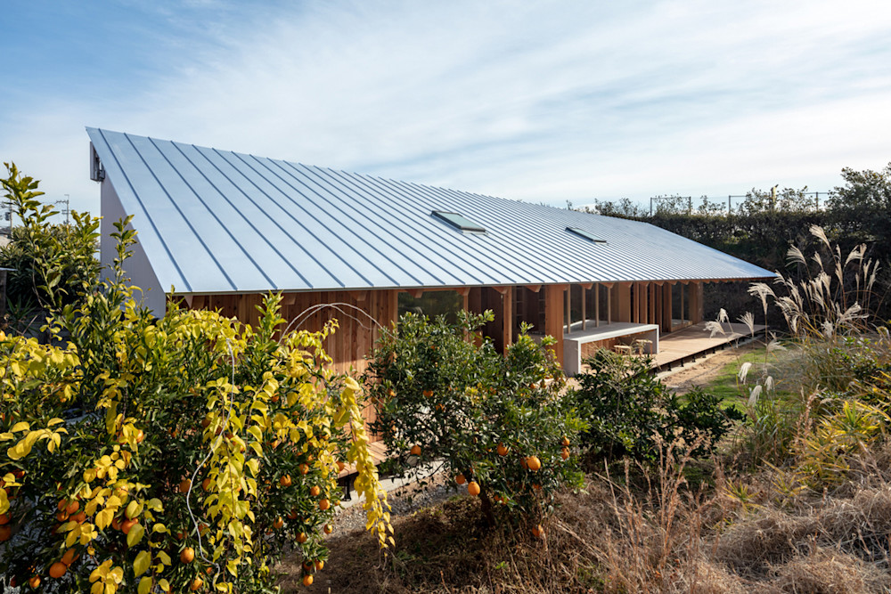 Japan's Inoki-Ye House Brings Cabin-Life to the City | Field Mag